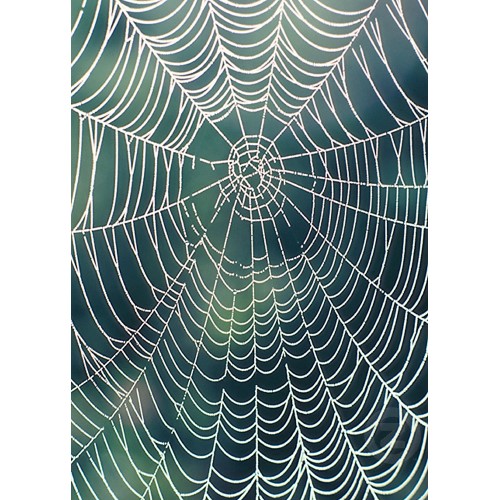 Stories For Children